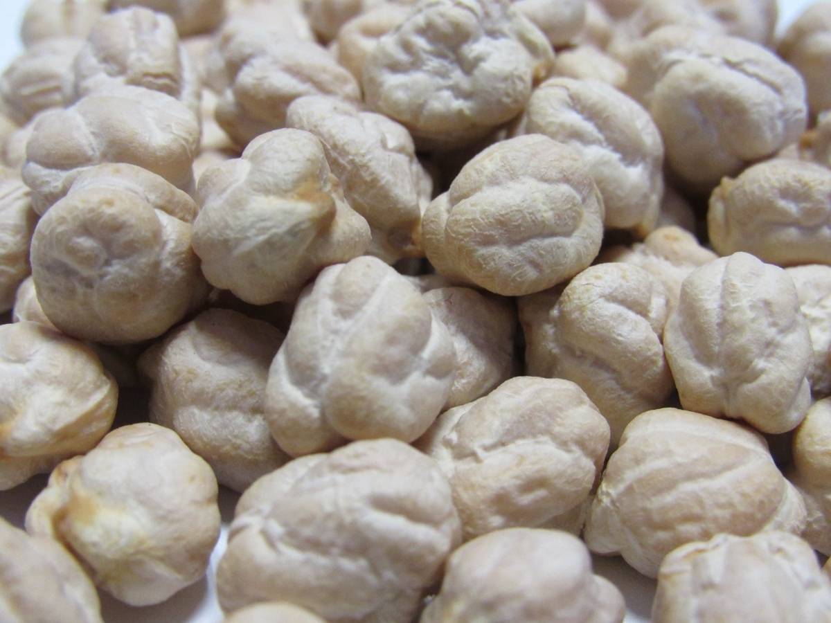 Sagarhpa invita al XIII Simposio Nacional de Garbanzo | Sonora Power